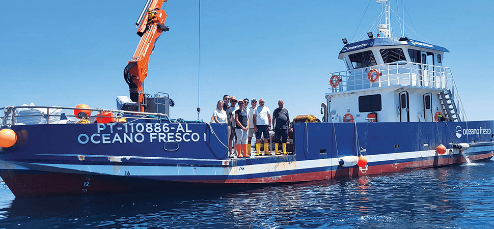 O mundo vai gostar de saber... e saborear.